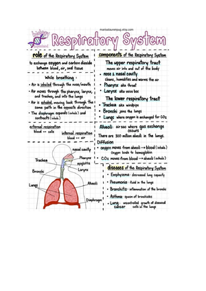[Solved] Question 1 Complete the table below by i Identifying one ...