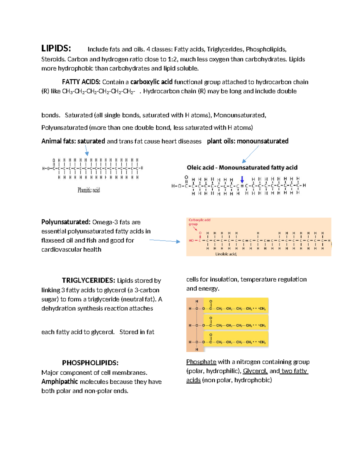 LIPIDS, CARBOHYDRATES, PROTEINS & NUCLEIC ACIDS: Lecture 6-10 Review ...