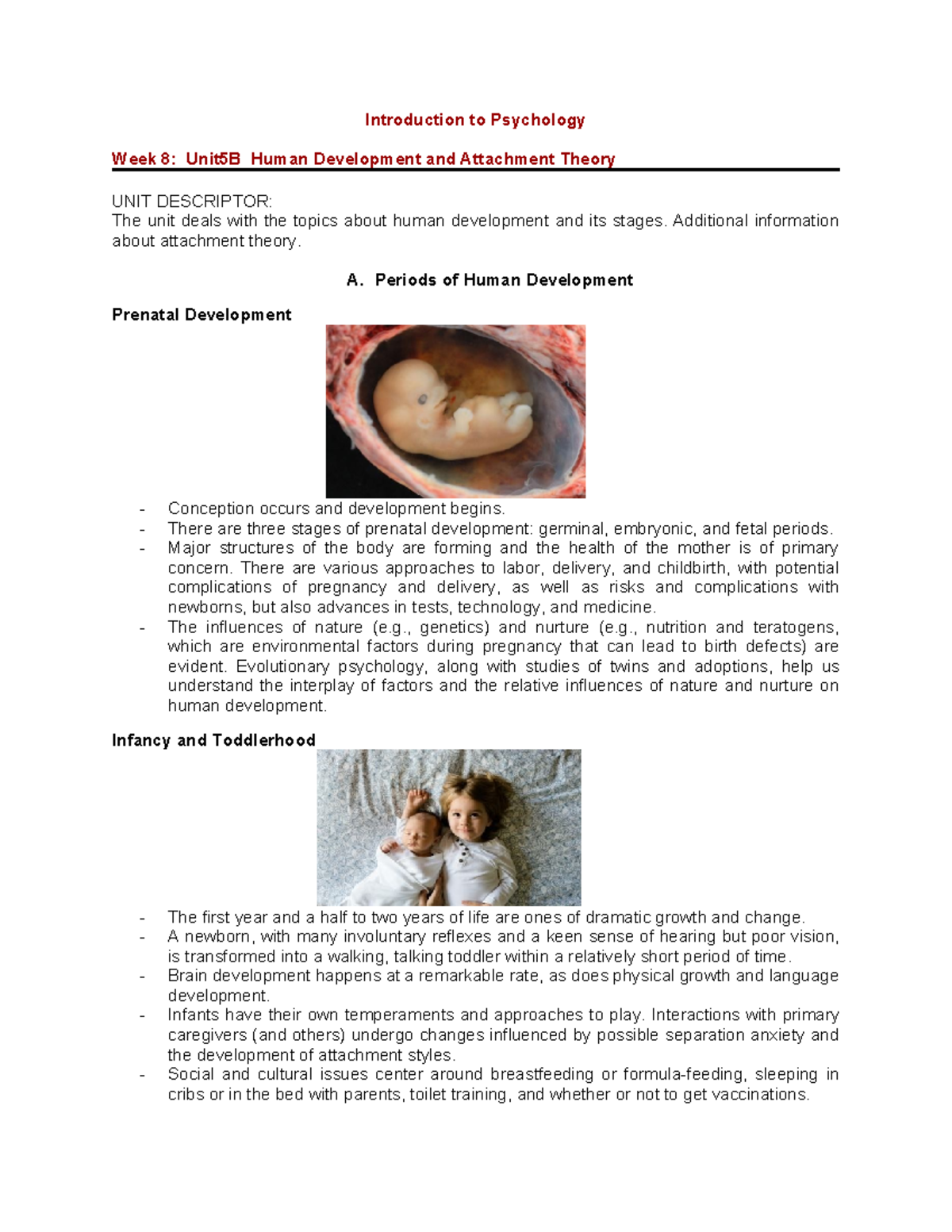 PSY M14 Human Development and Attachment Theory - Introduction to ...