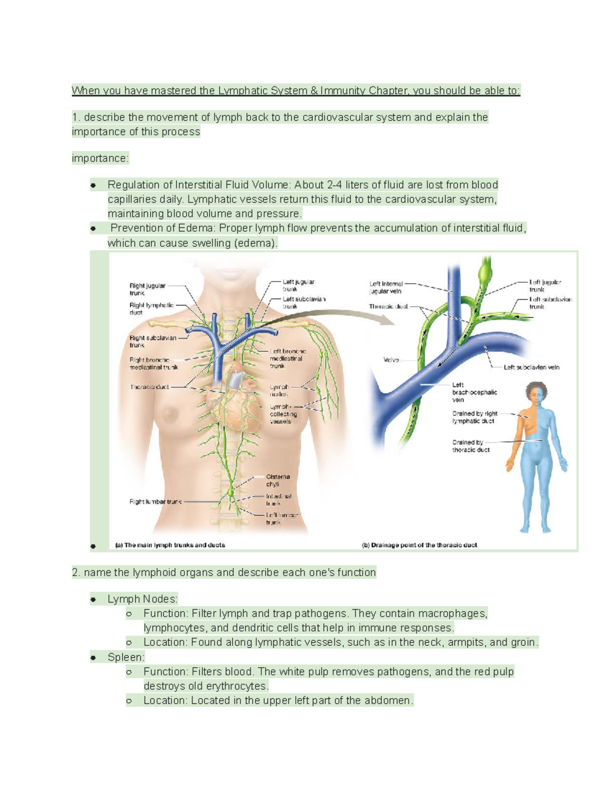 ANP2 EXAM 2: Lymphatic System & Immunity Overview and Functions - When ...