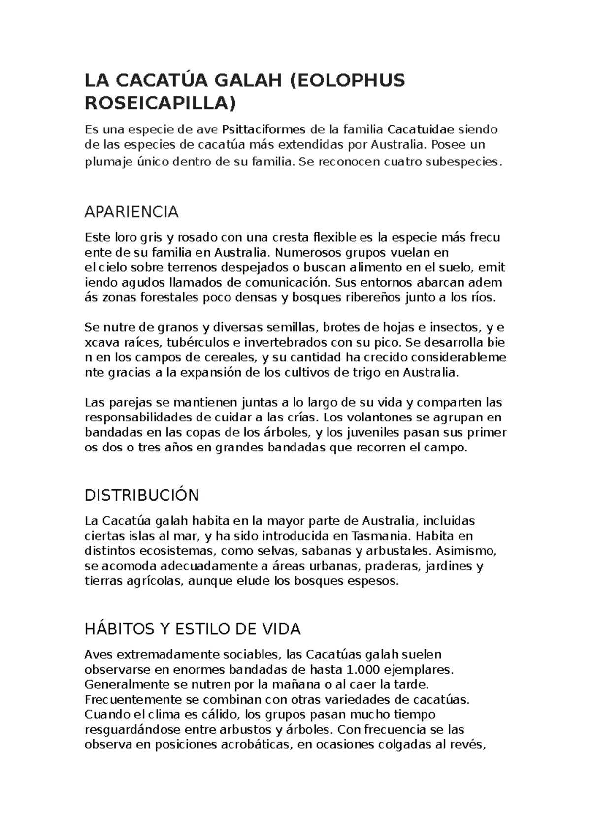 Características, Anatomía y Nutrición del Búho: Un Estudio Completo ...