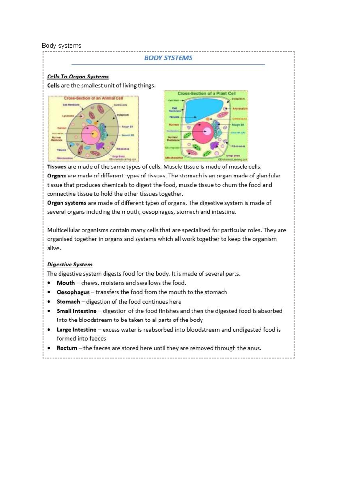 Year 8 Science Yearly Revision: Body Systems & Ecosystems - Studocu