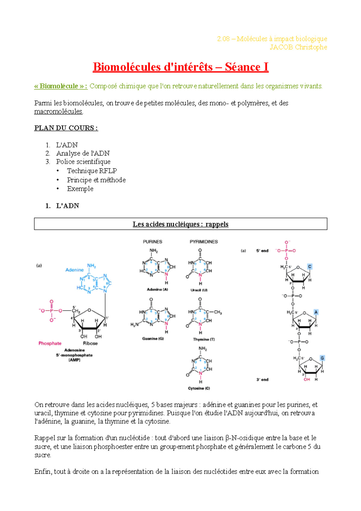 2.08 - Molécules à Impact Biologique (Option) - 2 – Molécules à impact ...