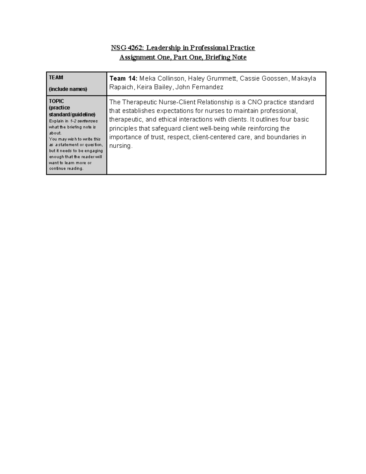 NSG 4262: Overview of Therapeutic Nurse-Client Relationship Standard ...