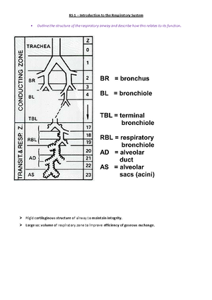 Anatomy and Physiology workbook notes - Human A P workbook The ...