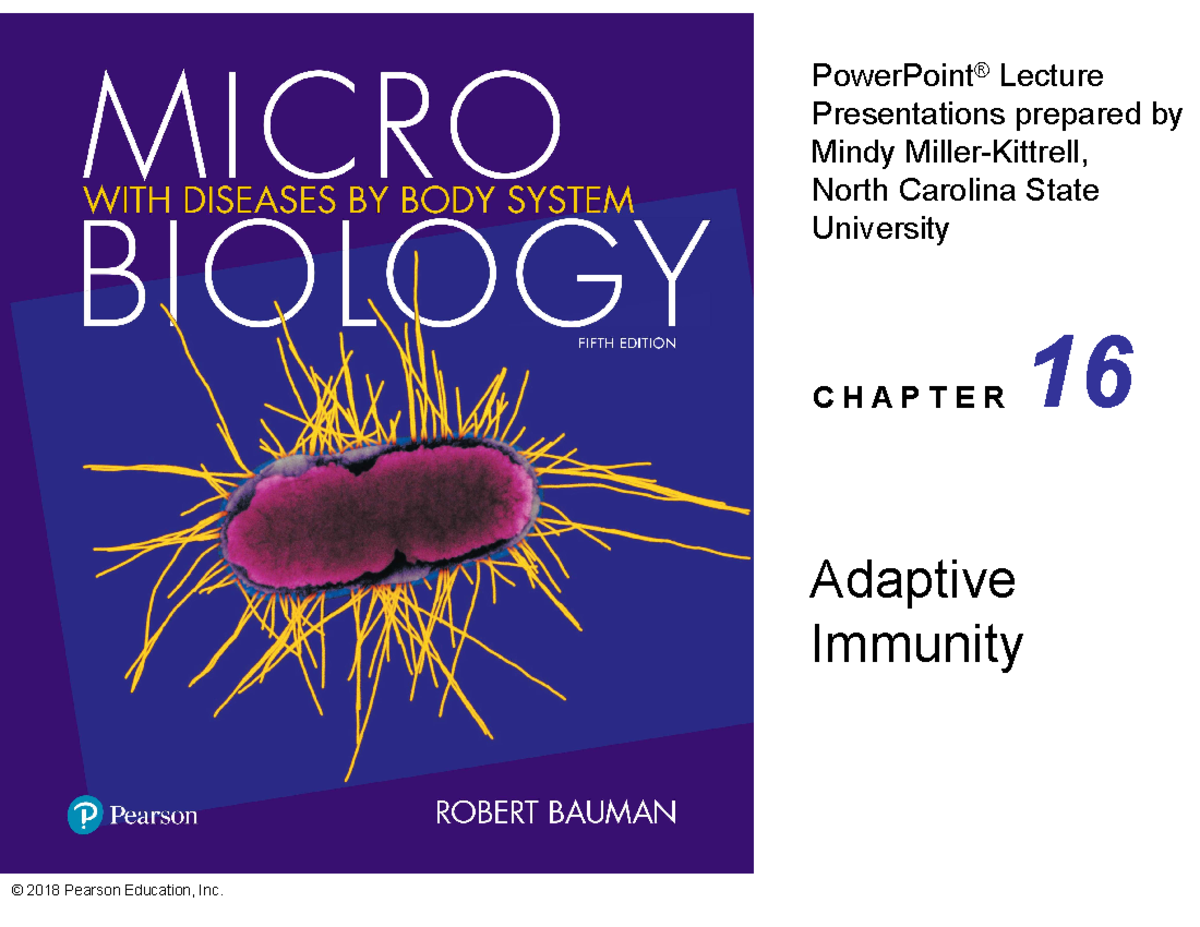 Chapter 16 - PowerPoint ® Lecture Presentations prepared by Mindy ...