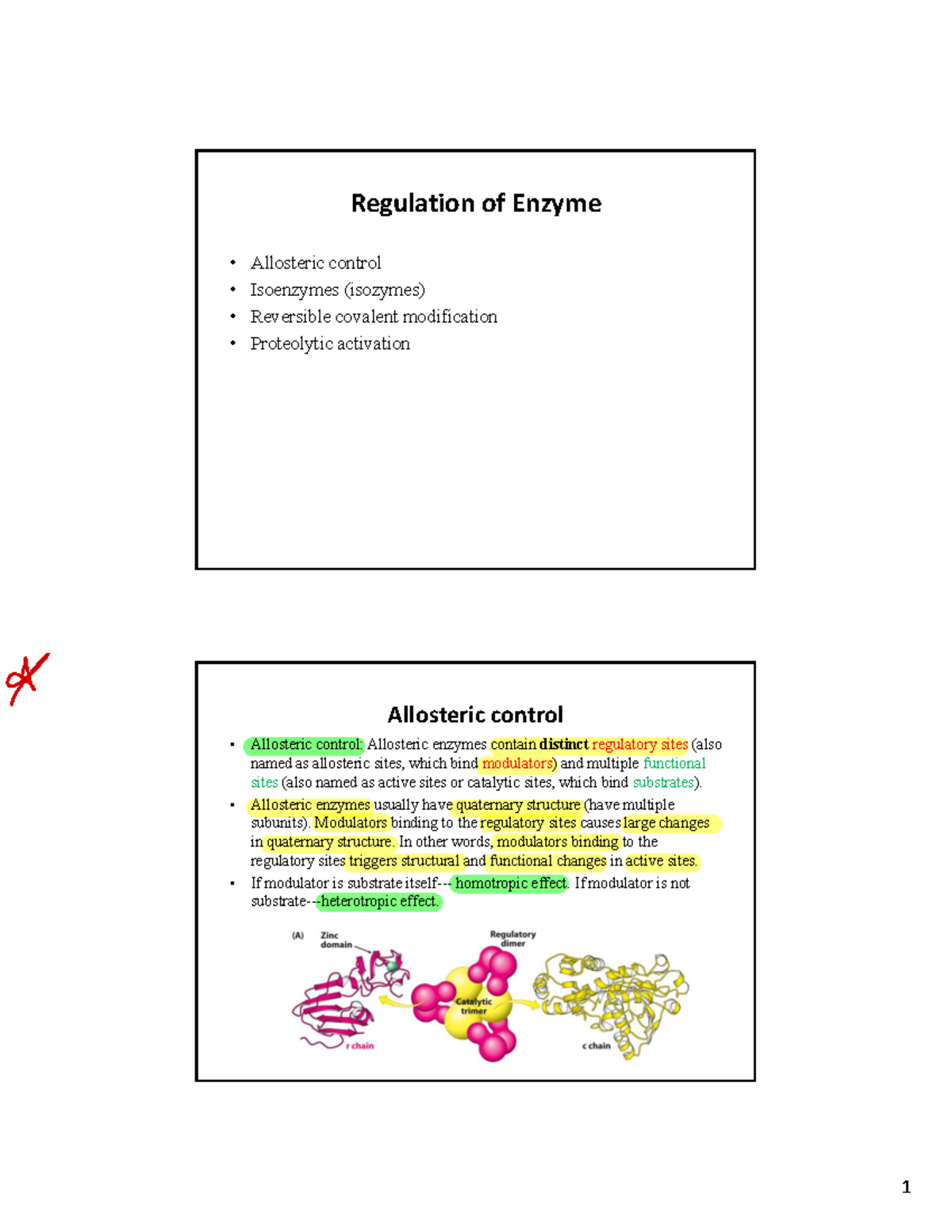 Regulation of Enzyme Activity: Allosteric Control & Modifications ...