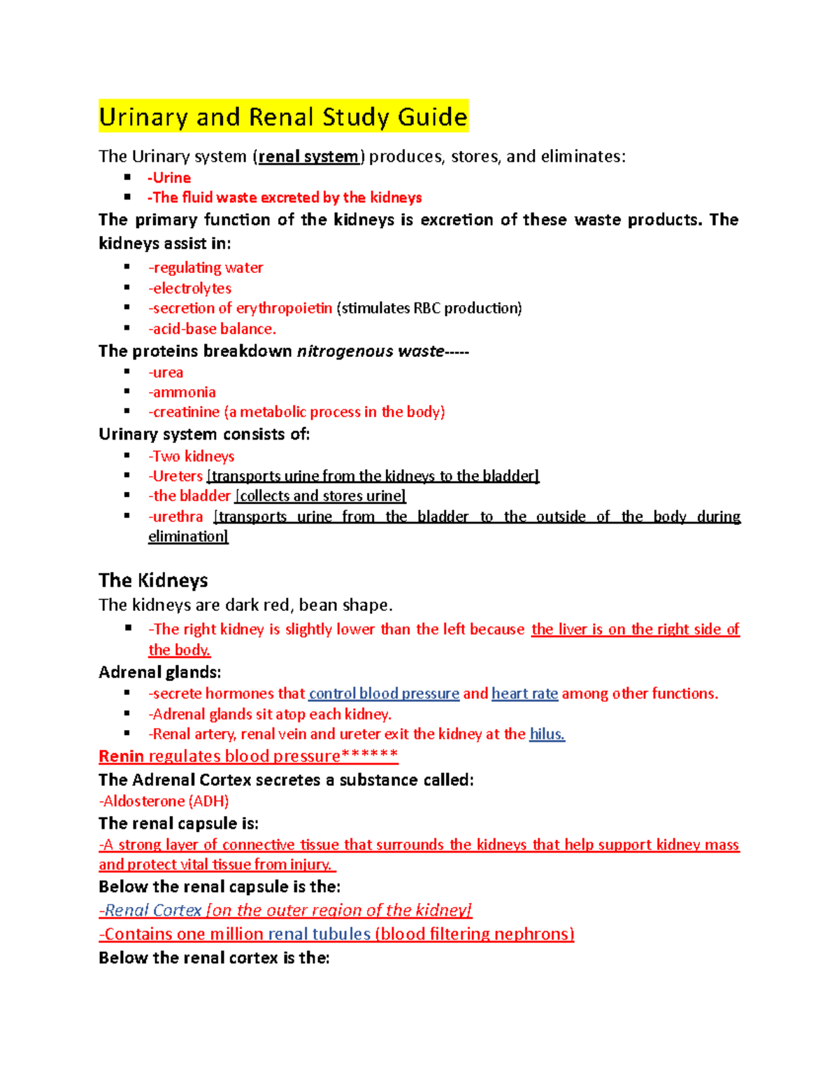 Urinary and Renal Study Guide - The kidneys assist in: - regulating ...