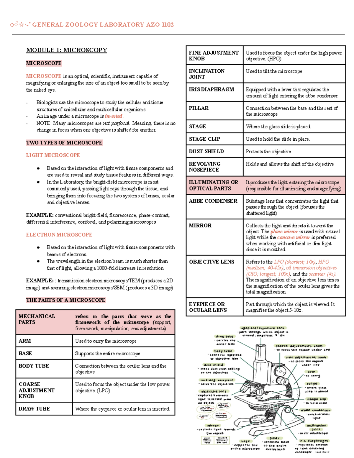 GEN ZOO LAB - AZO 1102: Microscope Overview and Parts - Studocu