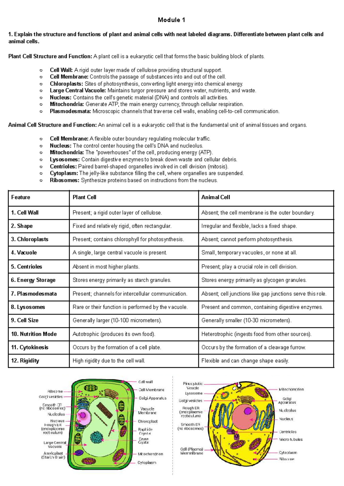 Biology for Engineers (BBOK407) Module 1: Cell Structures, Biomolecules ...