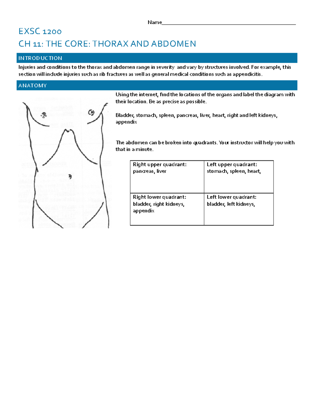 EXSC 1200 CH 11 Core.Abdomen and Thorax - Name EXSC 1200 CH 11: THE ...