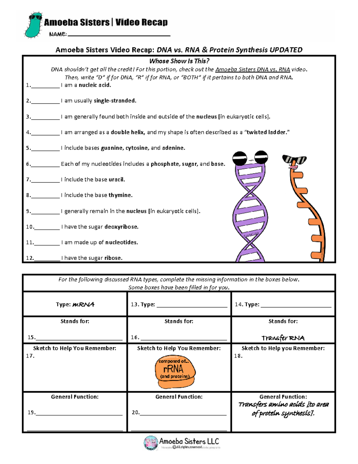 Dna vs rna and protein synthesis updated recap by amoeba sisters ...