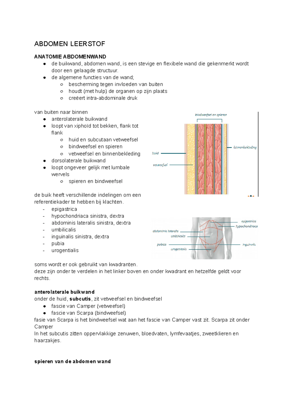 Anatomie van het lieskanaal+ liesbreuk - Anatomie van het lieskanaal ...