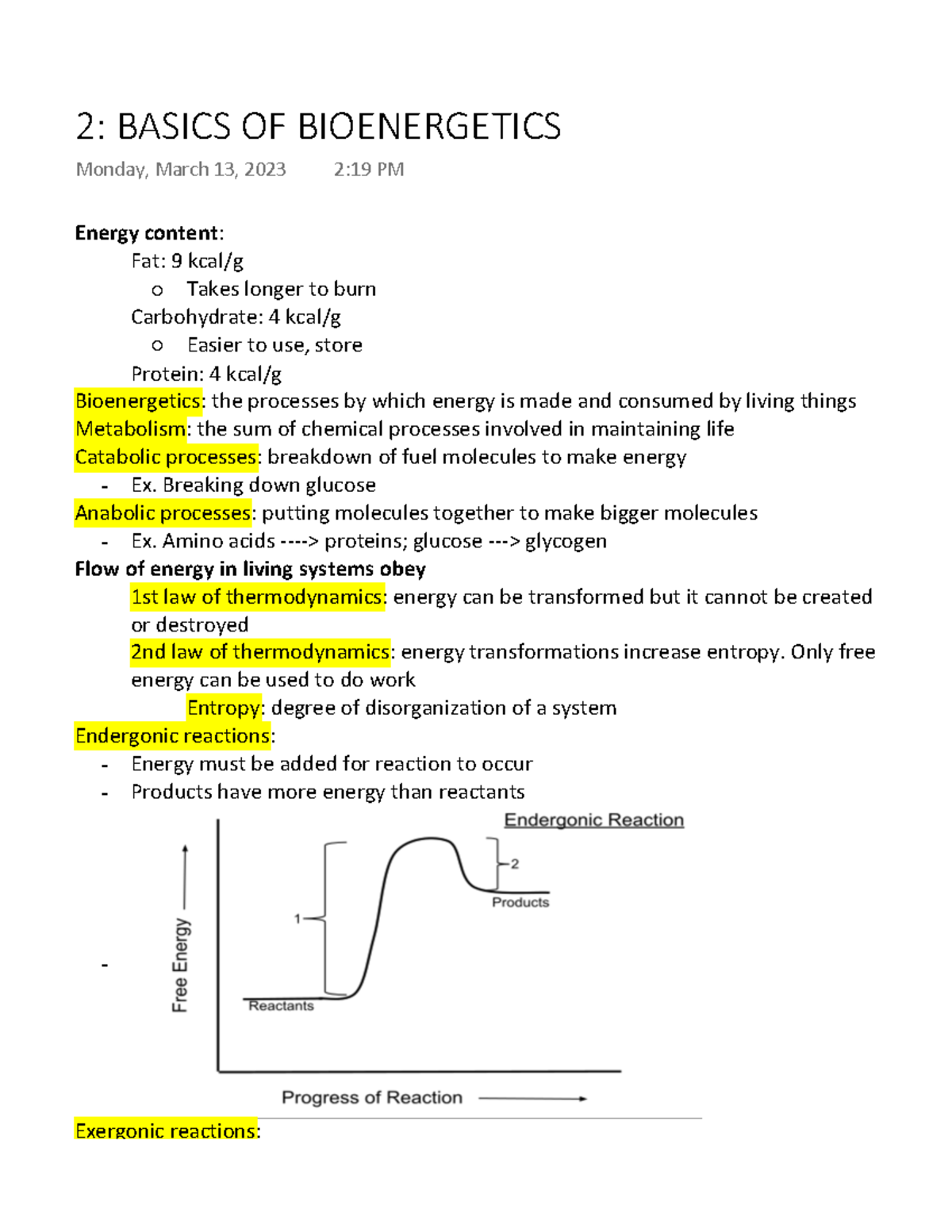 2 Basics OF Bioenergetics - Energy content: Fat: 9 kcal/g Takes longer ...