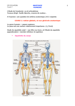 Cheville - Descriptions des mouvements du corps - CHEVILLE ...