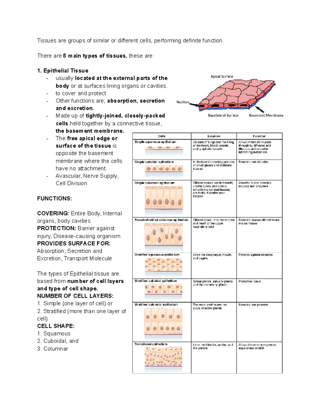 Integumentary System of the Frog: Structure, Functions, and Key ...