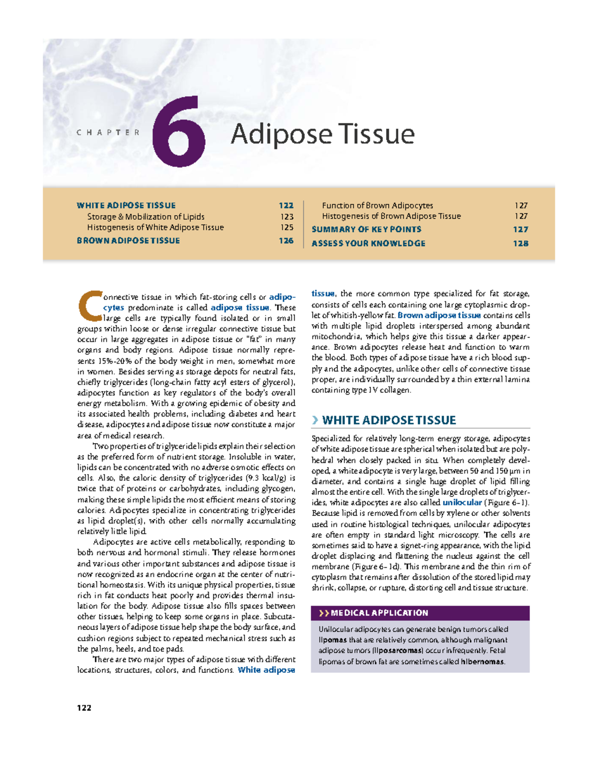 Adipose Tissue: Structure, Functions, and Clinical Significance (ANAT ...