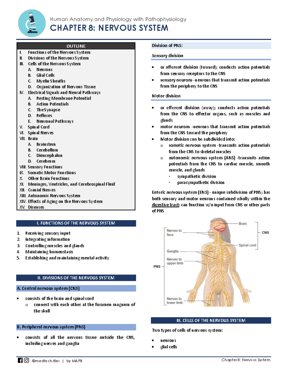 Nervous System - Human Anatomy and Physiology with Pathophysiology ...