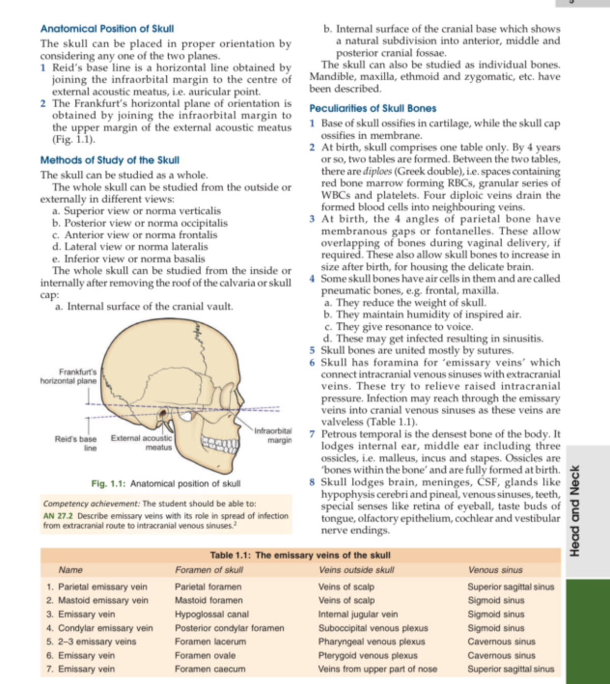 Osteology1111111 - Anatomical Position of Skull b. Internal surface of ...