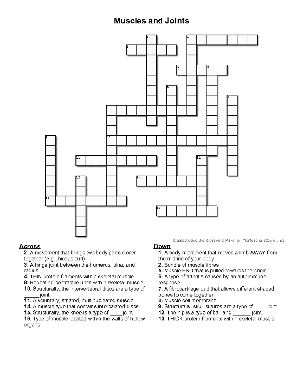 Crossword Puzzle: Muscles and Joints Study Guide - Studocu