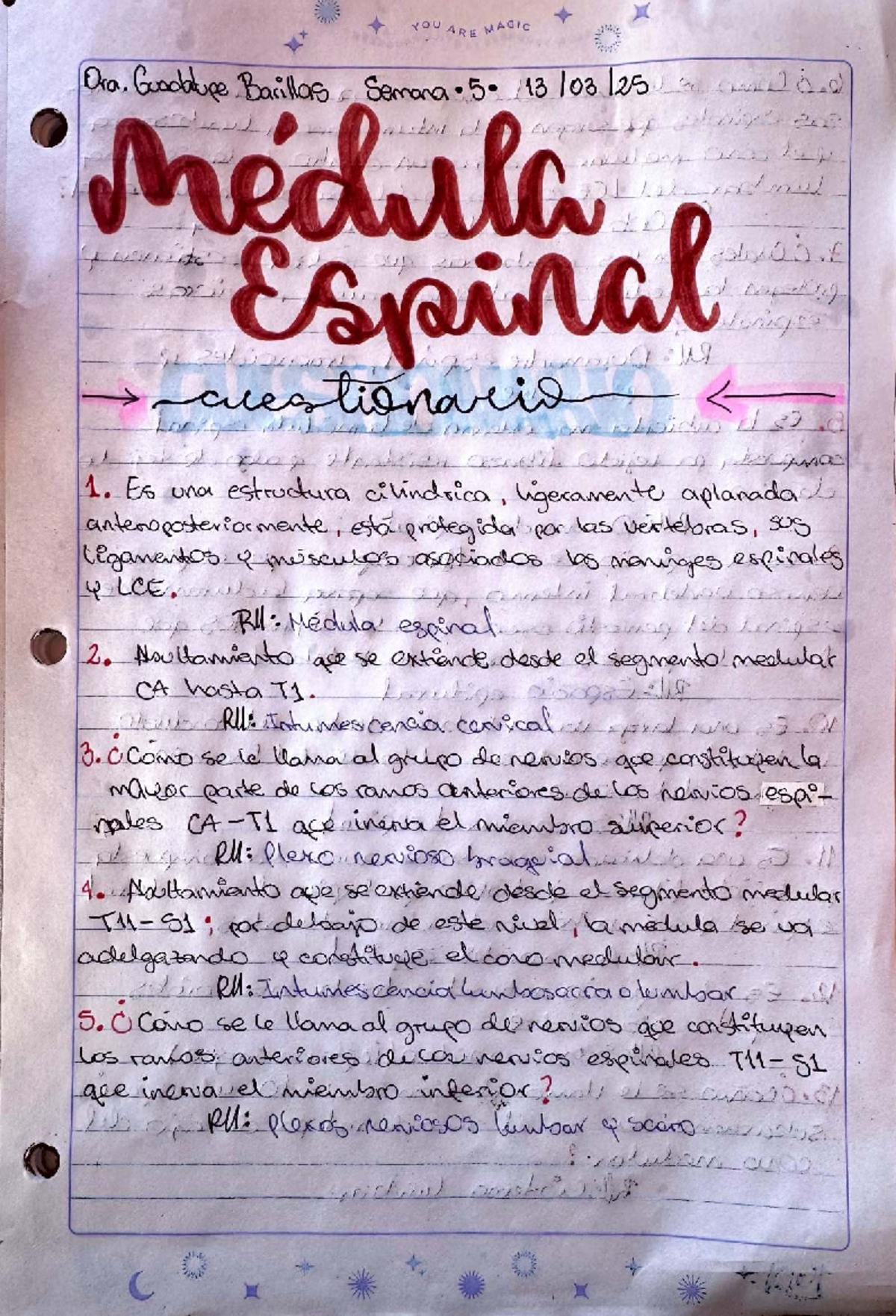 Cuestionario Medula Espinal. Laura Barrios C #253 - Anatomía - l J ...