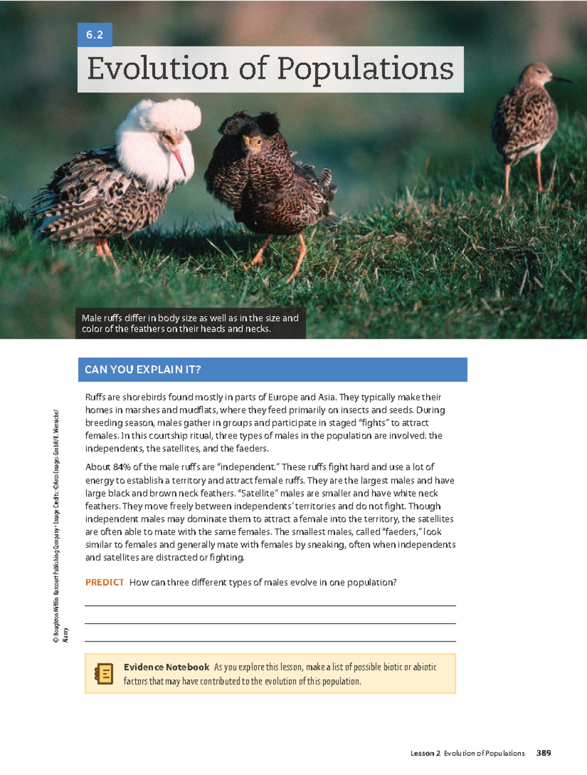 Evolution of Populations: Natural Selection and Genetic Variation ...