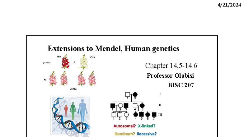 BISC 207 Chapter 14: Extensions to Mendelian Genetics & Human Traits ...
