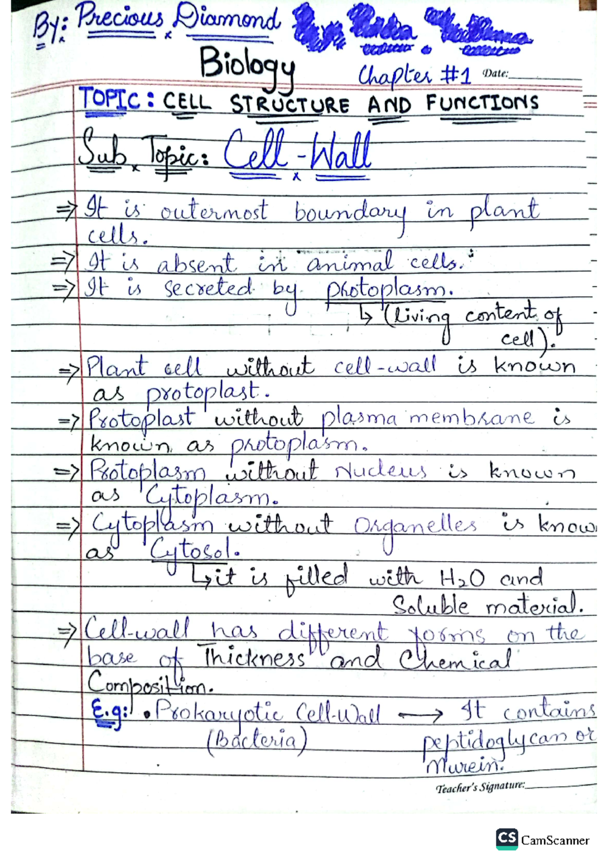 CELL STRUCTURE AND FUNCTIONS: A BIOLOGY CHAPTER OVERVIEW (BIO101) - Studocu
