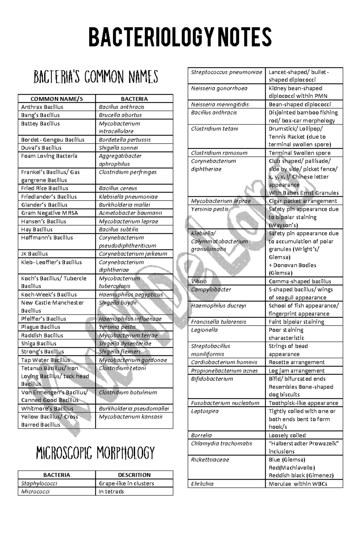 Bacteriology Final Exam Notes: Key Bacteria and Their Characteristics ...