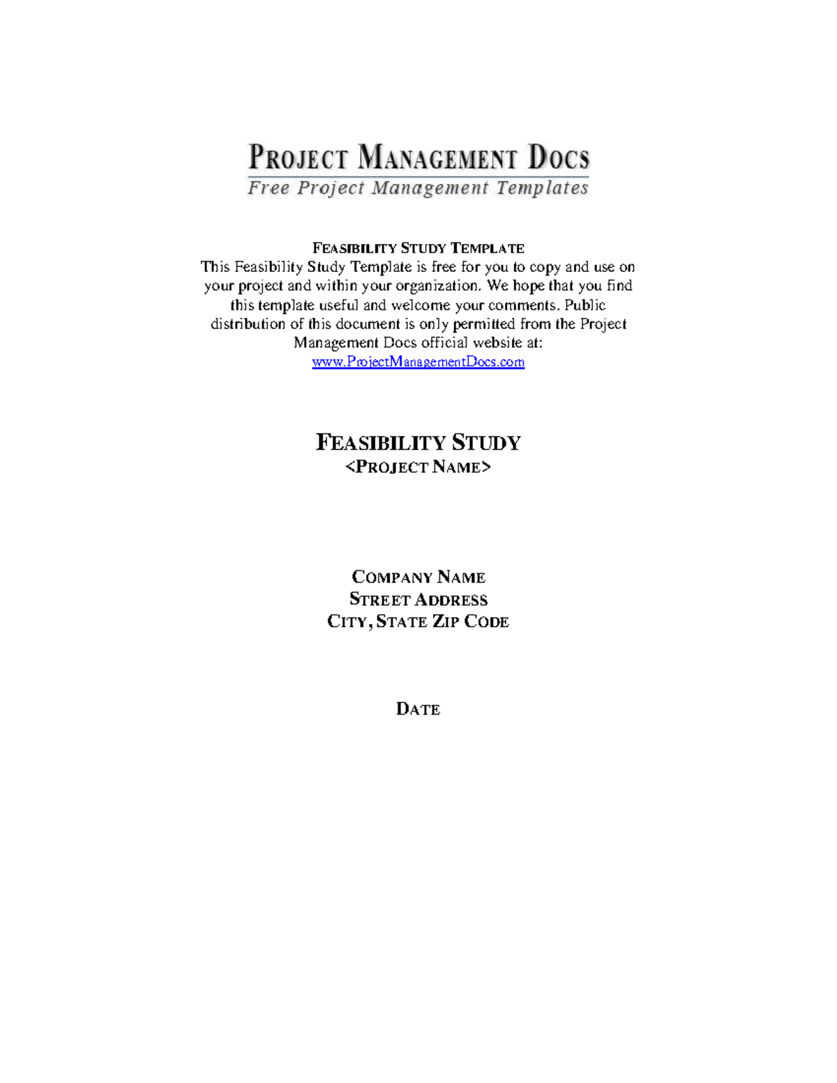 Feasibility Study Template for Online Marketplace Initiative - Studocu