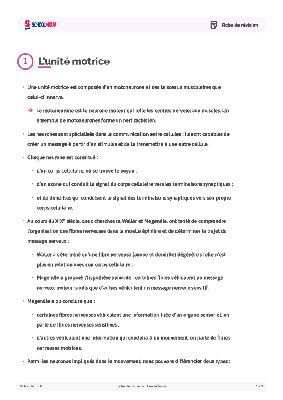 Fiche de révision : Les réflexes et l'unité motrice - Studocu