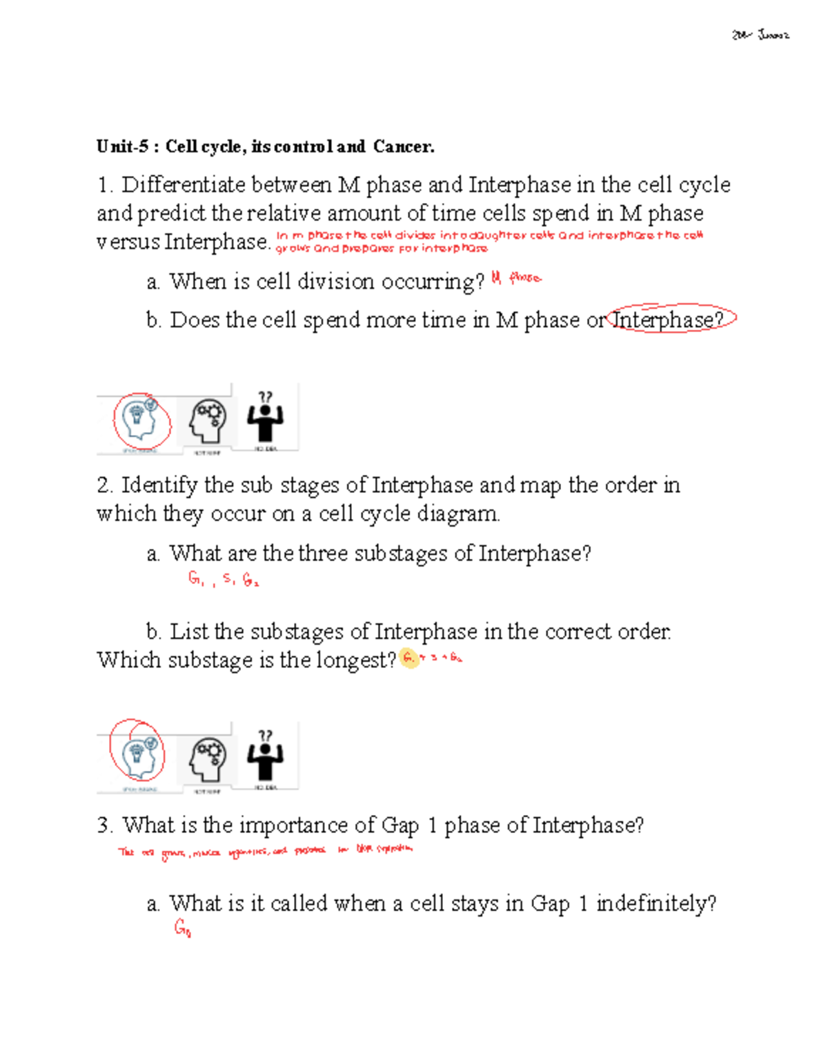 Unit 5: Cell Cycle, Control, and Cancer - Lecture Notes - Studocu
