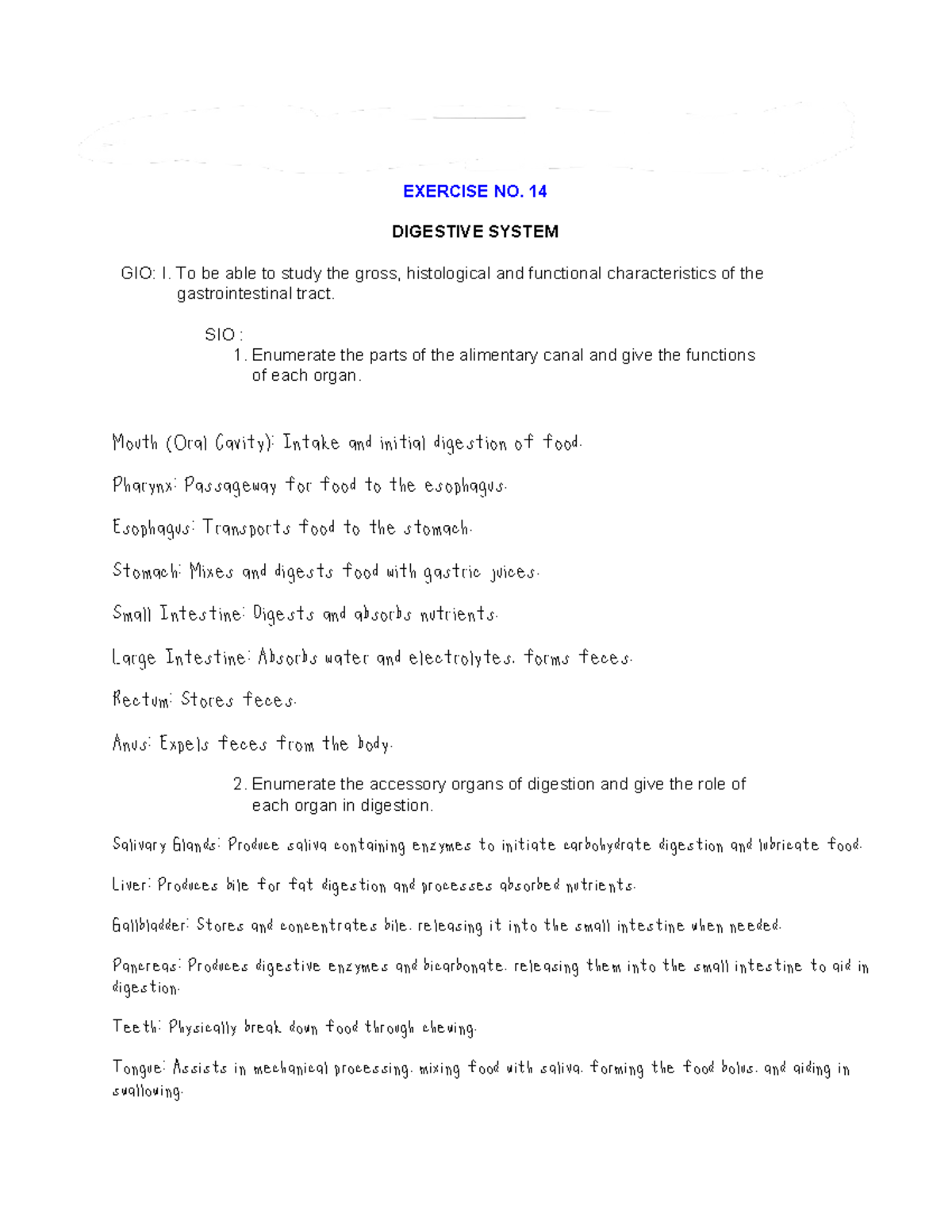 DMD Exercise No. 14: Digestive System Overview and Functions - Studocu