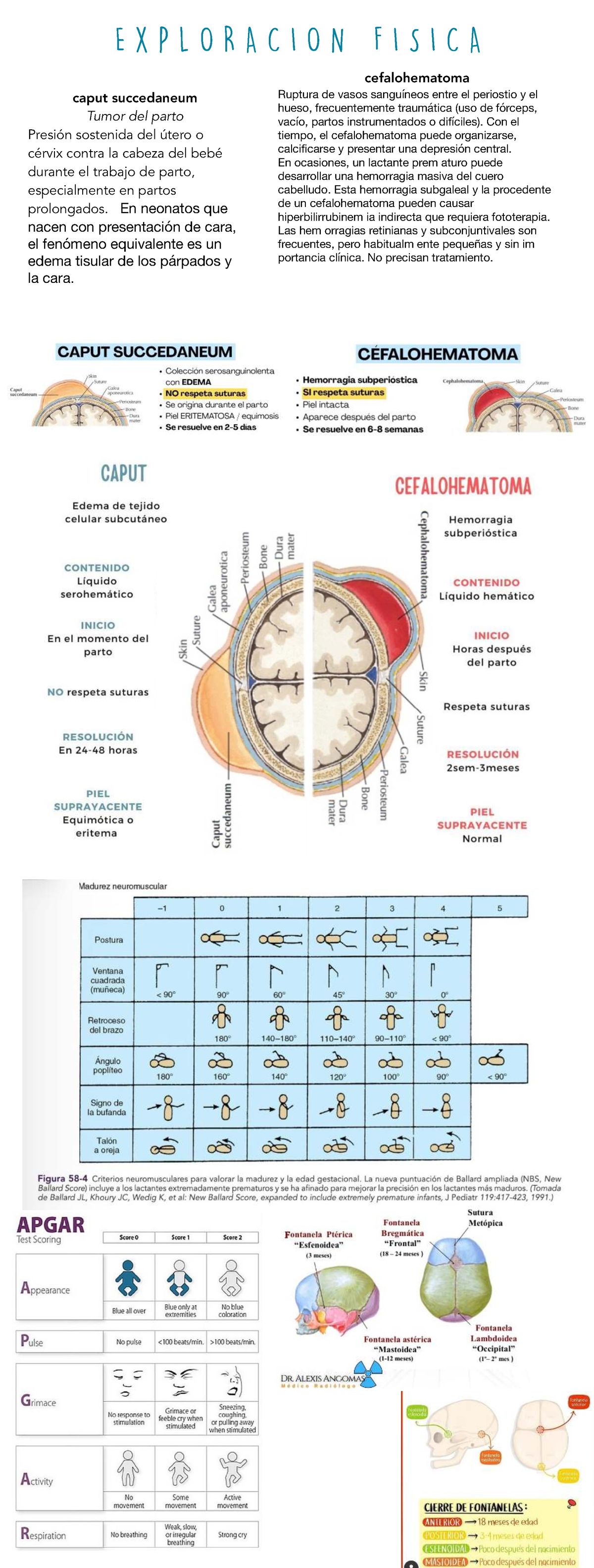 Caput vs Cefalohematoma: Diferencias y Complicaciones en Neonatos - Studocu