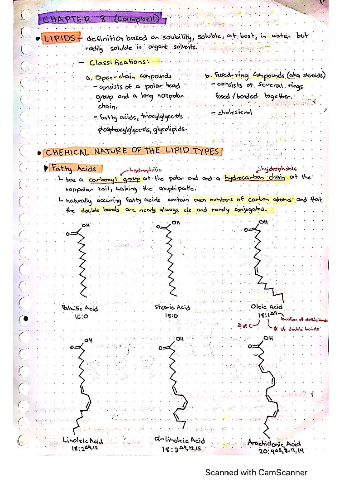 Biochemistry 101: Campbell's Chapter 8 Lipids and Membrane Structure ...