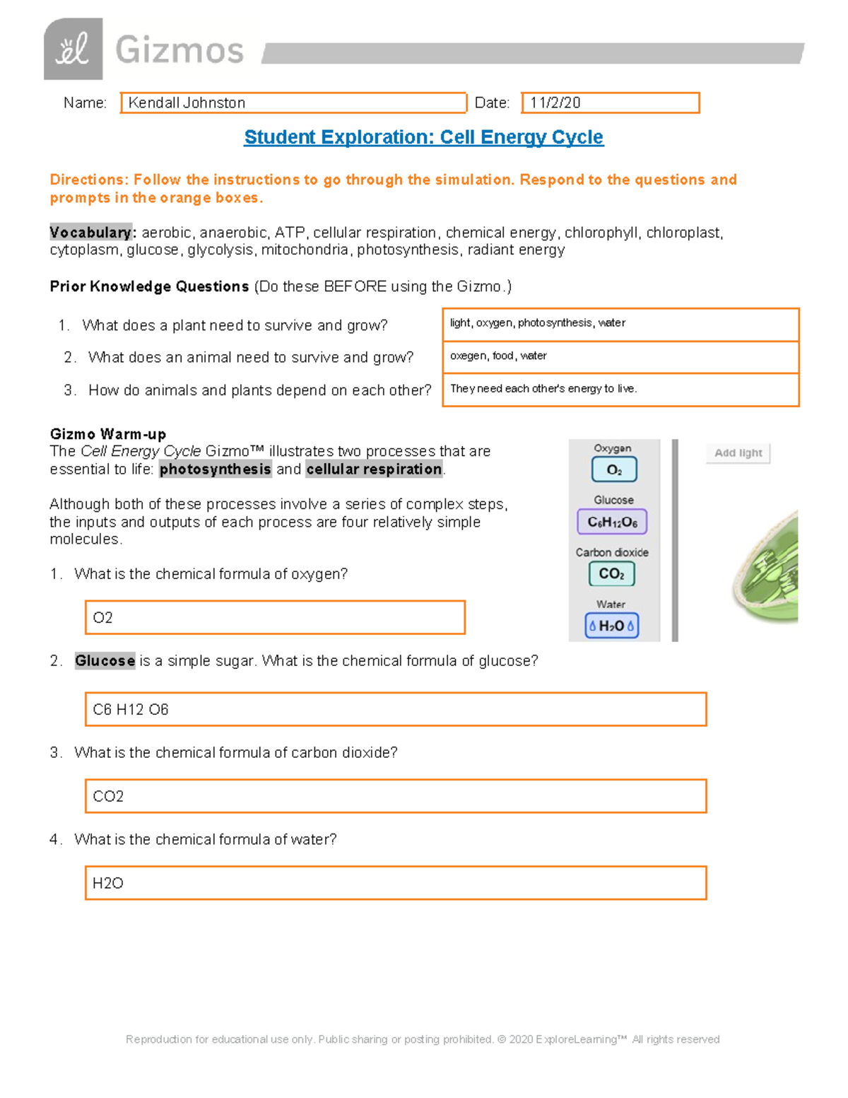 Cell Energy Cycle Exploration: Photosynthesis and Respiration Gizmo ...
