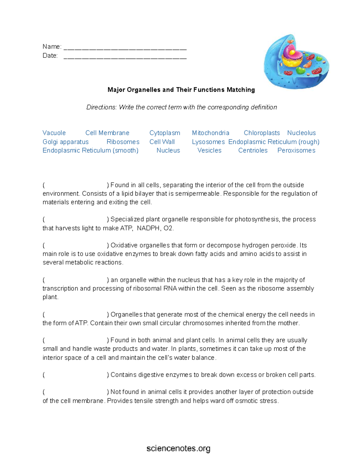 Major Organelles and Their Functions Matching (Bio 101) - Studocu