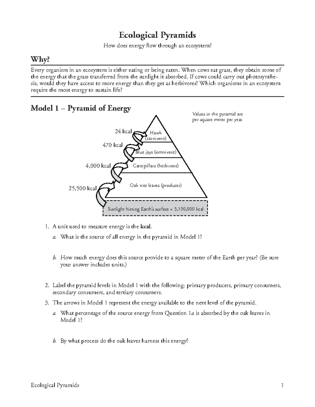 Pogil 1 - Energy Flow and Ecological Pyramids Analysis - Studocu