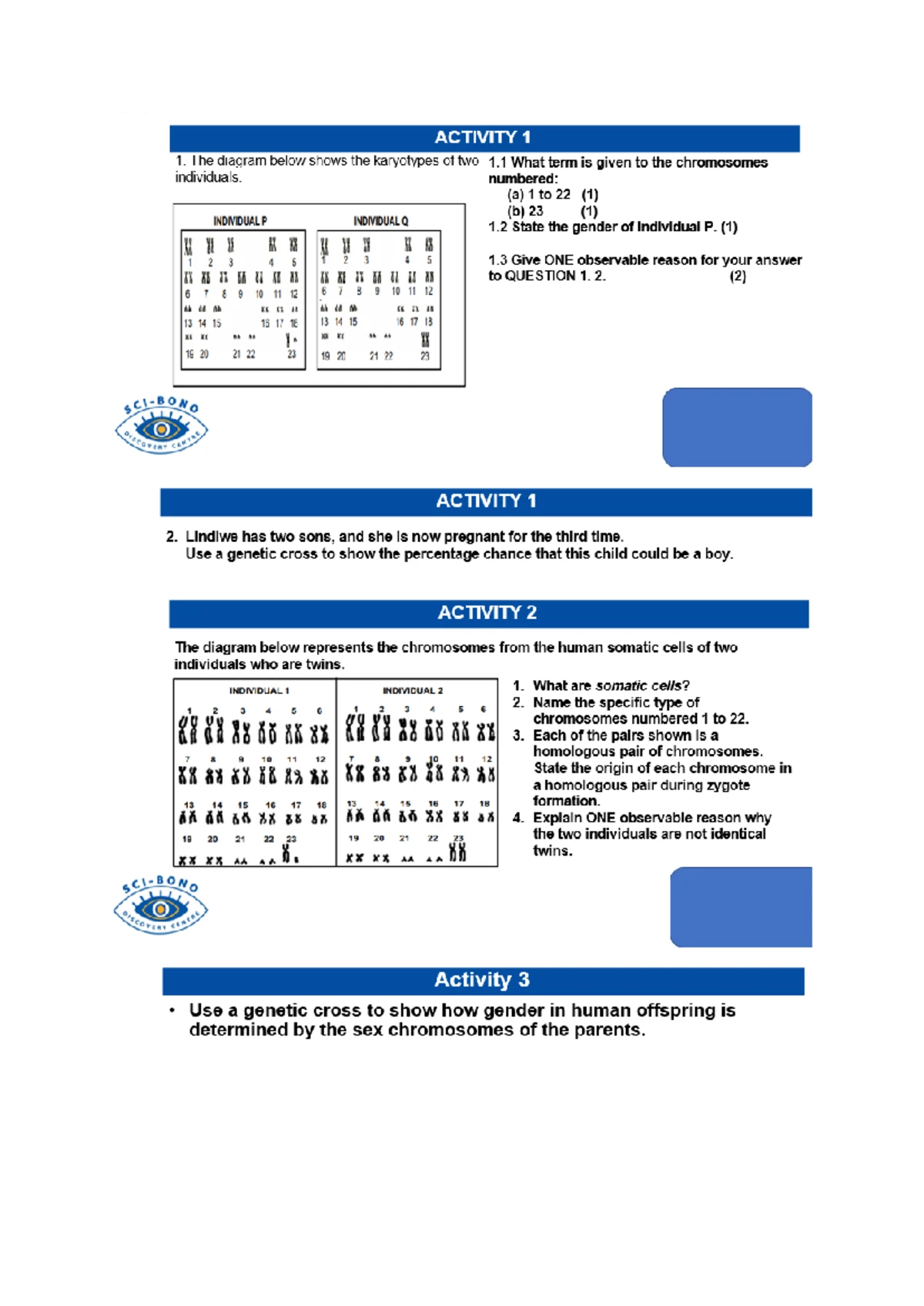 CAT Grafe 11 Module 2 - CAT grade11 notes - Module 2 Local area ...