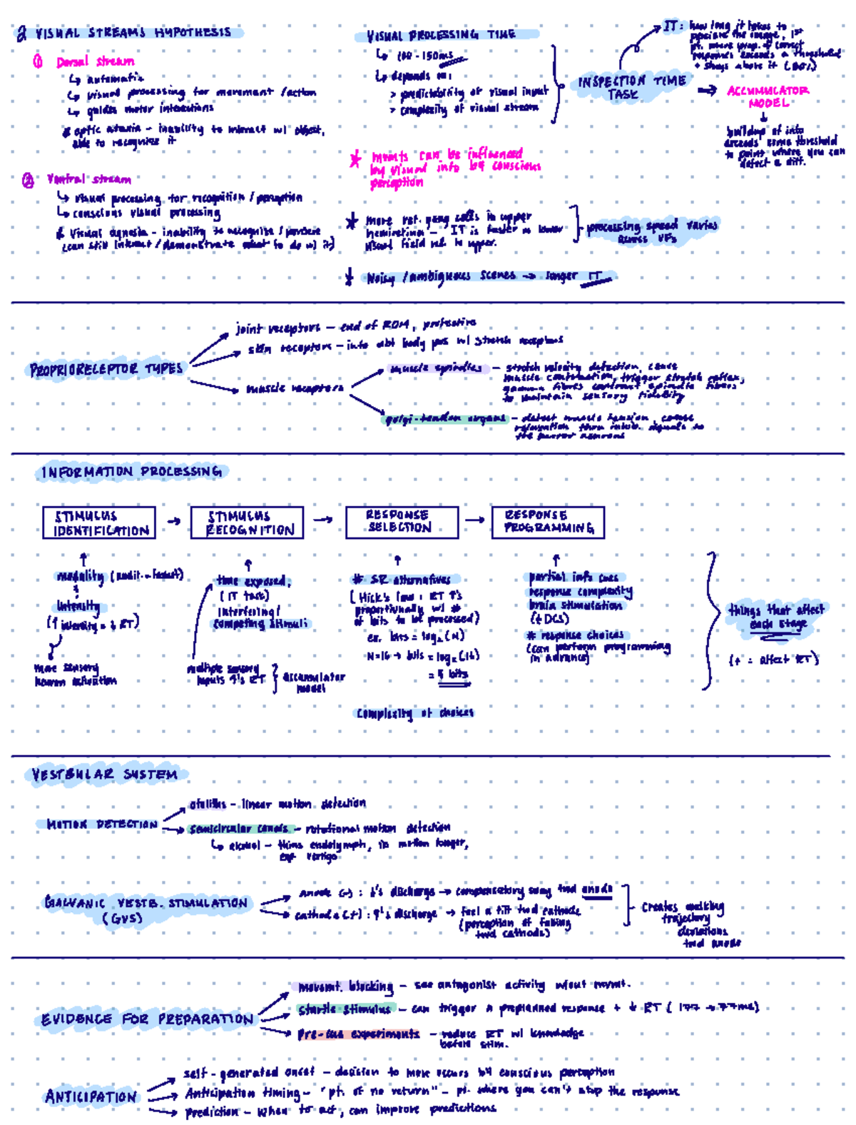 Lecture summaries - Final - 2 VISUAL STREAMS HYPOTHESIS IT VISUAL ...