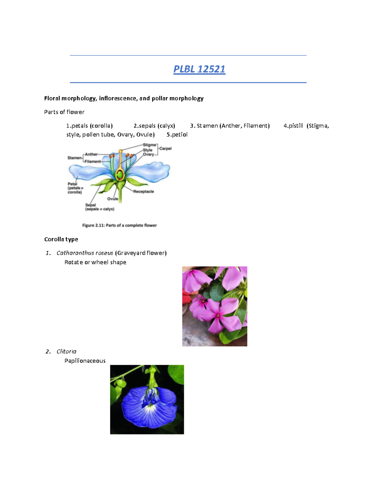 PLBL 12521 Practical 2: Floral Morphology and Inflorescence Analysis ...
