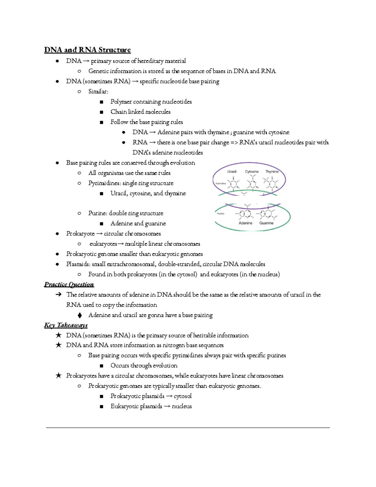 Unit 6 - unit 6 notes - DNA and RNA Structure DNA → primary source of ...