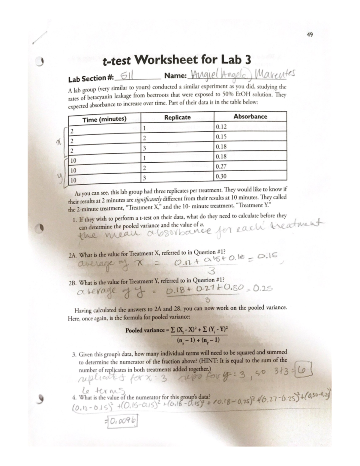 T Test Worksheet Grammar Test Worksheet