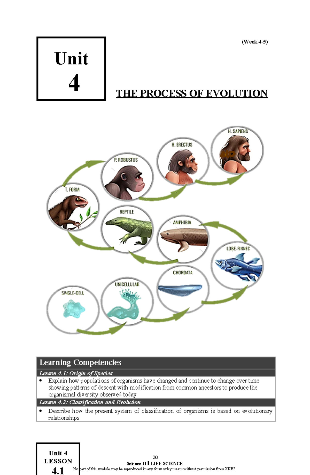 Understanding Evolution: Life Science 11 - Lesson 4 Handouts - Studocu