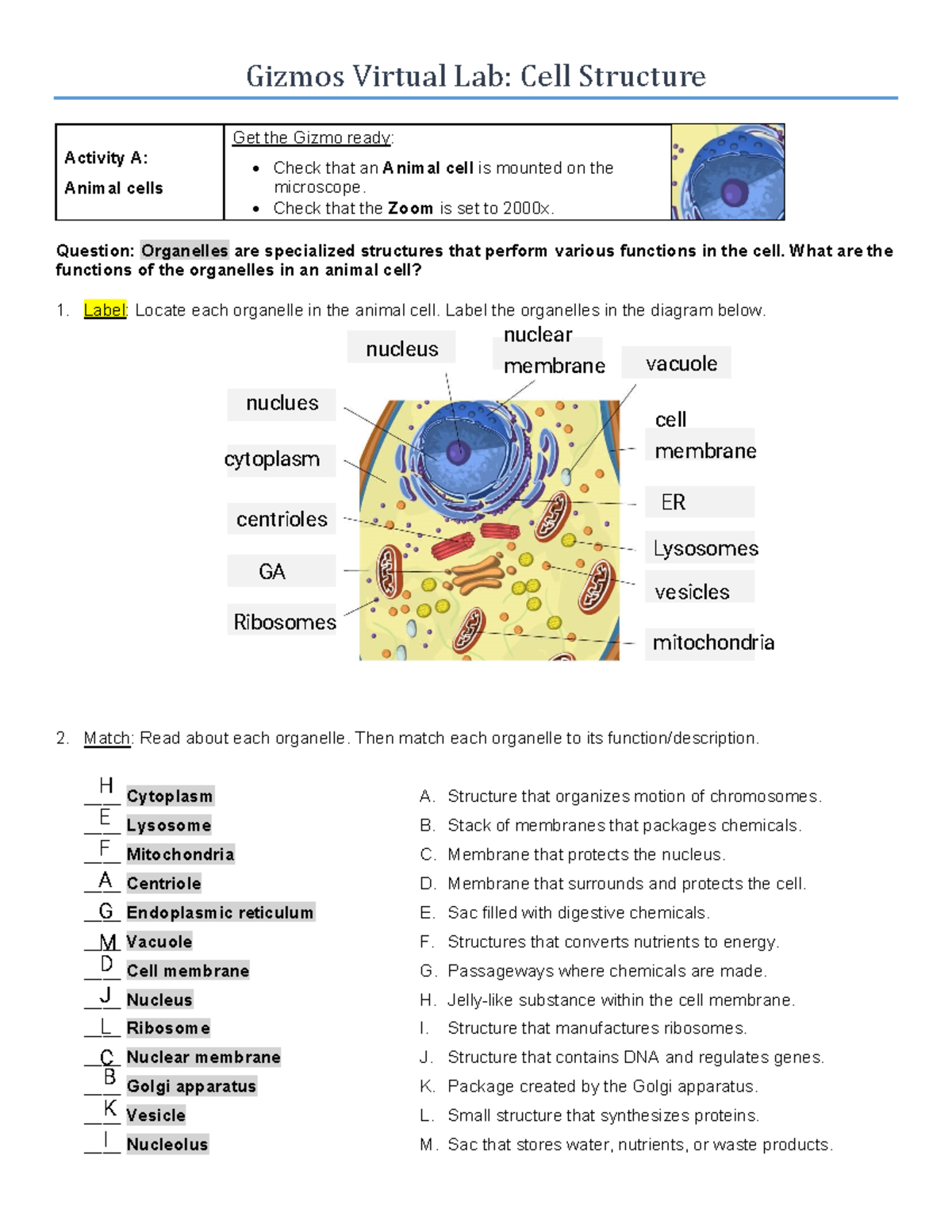 Gizmos Virtual Lab: Cell Structure - Animal and Plant Cells Activities ...