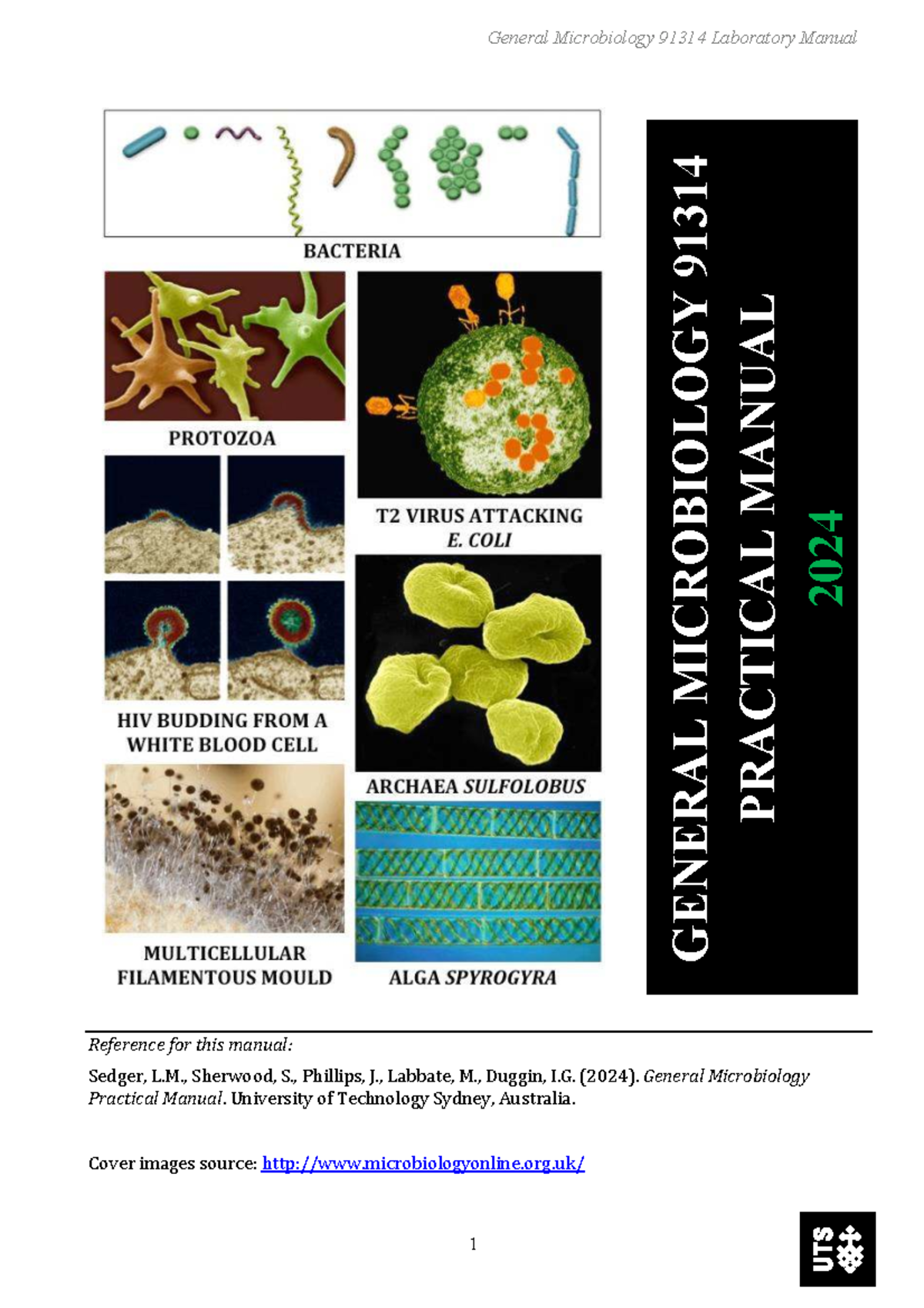 General Microbiology 91314 Practical Manual 2024: Lab Techniques and ...