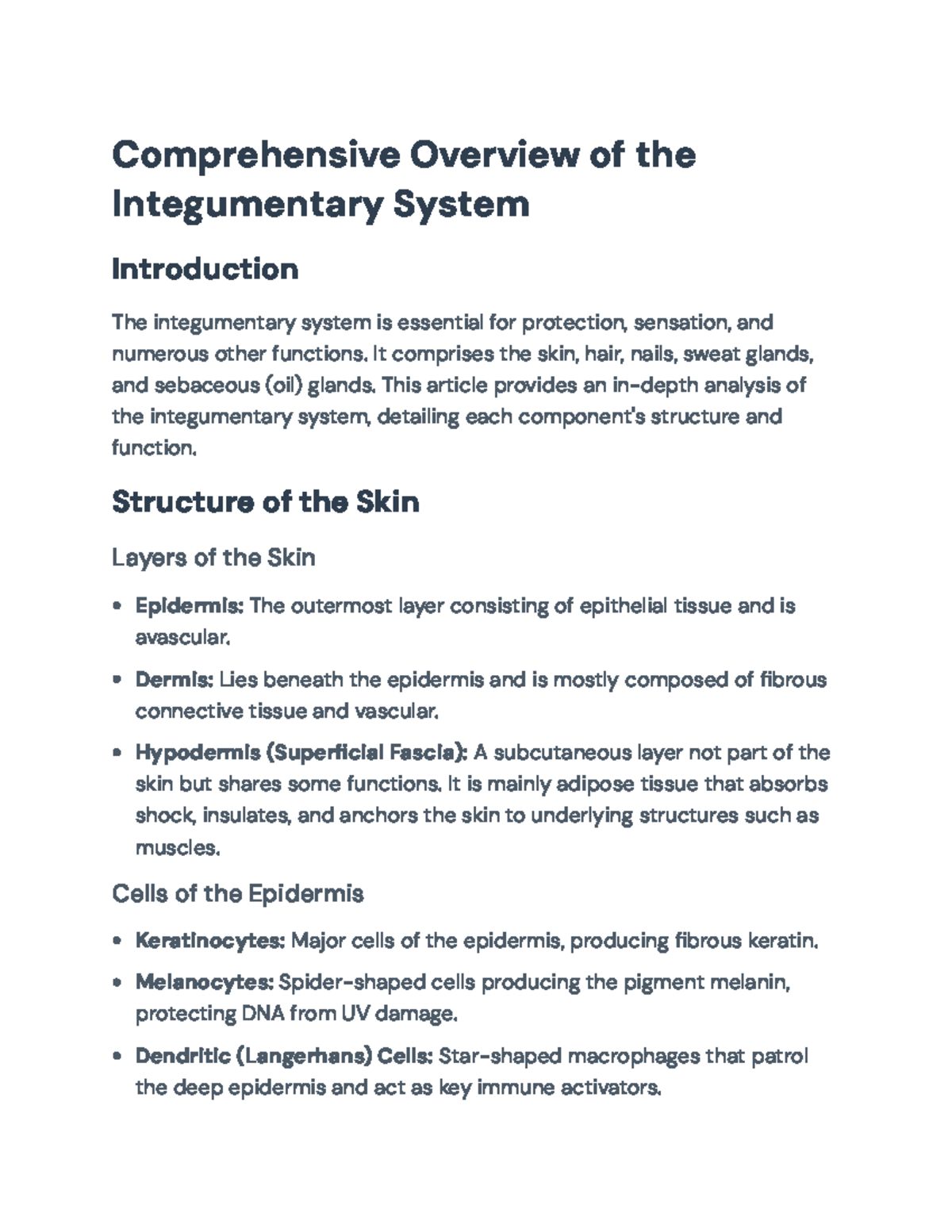 Integumentary System Overview: Structure, Function, and Clinical ...