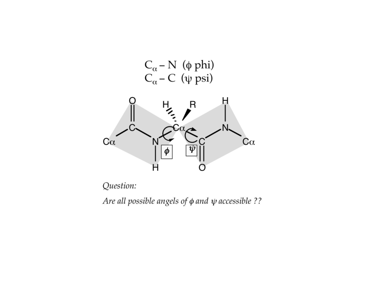 Principle and Phi-Psi Angles: Ramachandran Plot Lecture Notes - Studocu