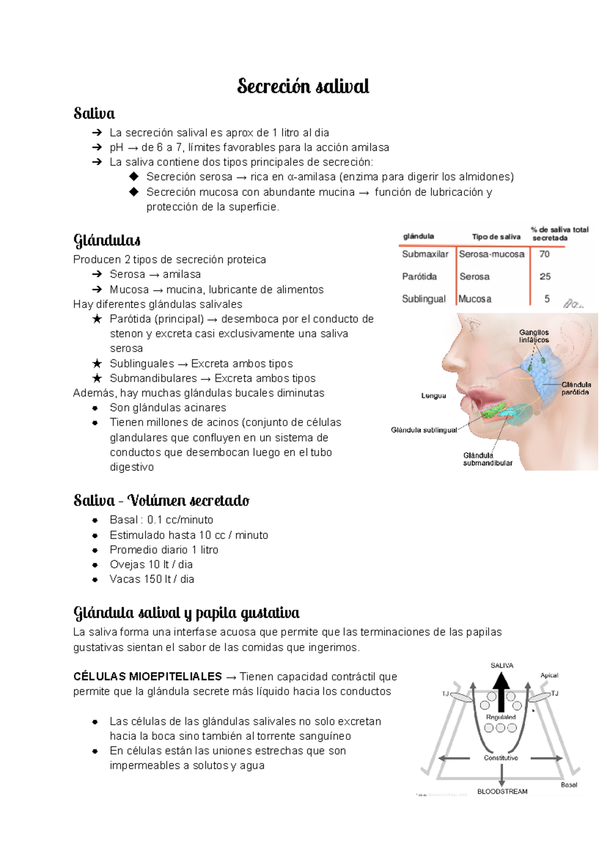 2. Secreción Salival y Funciones en la Digestión - Studocu