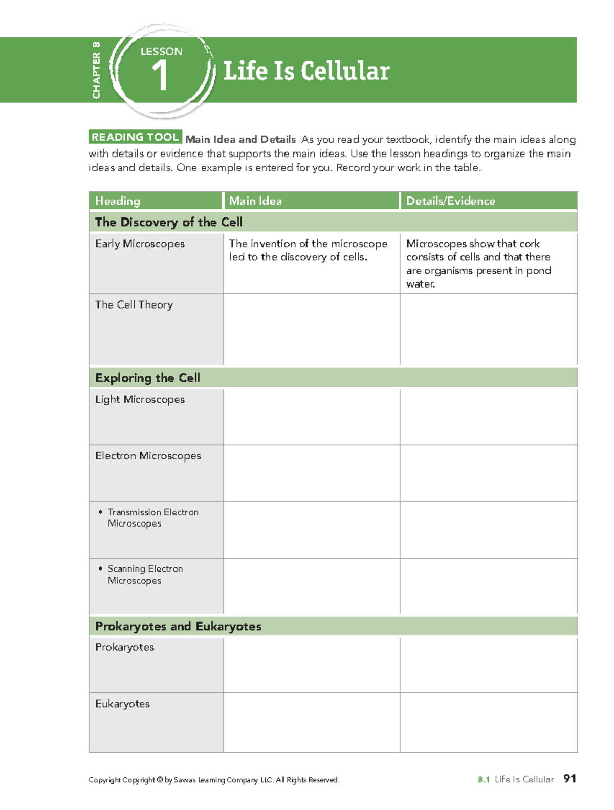 BIO CH08 Worksheet: Understanding Cellular Foundations and Structures ...